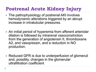 8. Acute Kidney Injury.pptx short power point about aki | PPTX