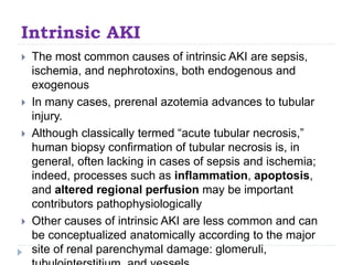 8. Acute Kidney Injury.pptx short power point about aki | PPTX