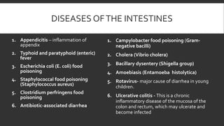Common disorders of Digestive system.pptx