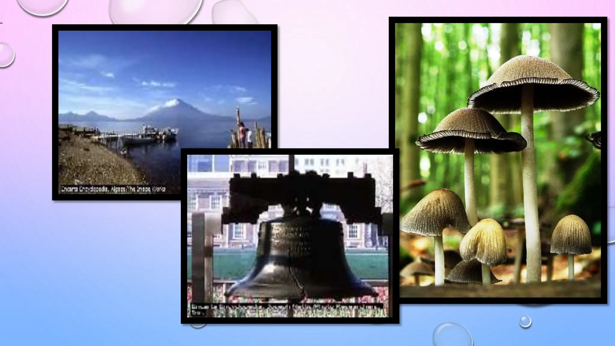 8.-Normal-Random-Variable-1-statistics.pptx