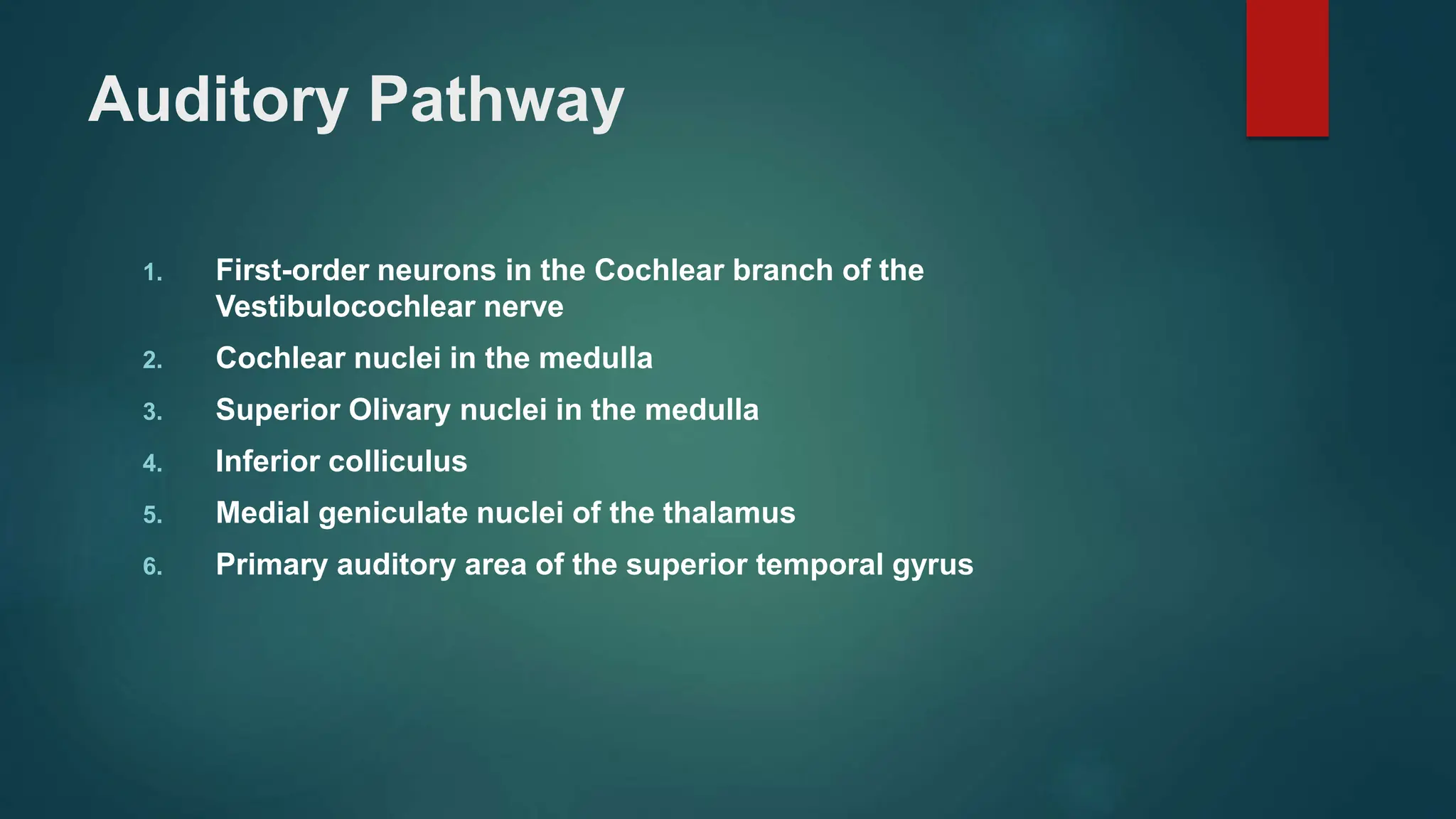 ANATOMY OF THE HUMAN EAR & Related (2024).pptx
