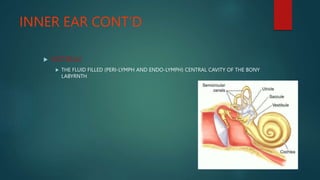 ANATOMY OF THE HUMAN EAR & Related (2024).pptx