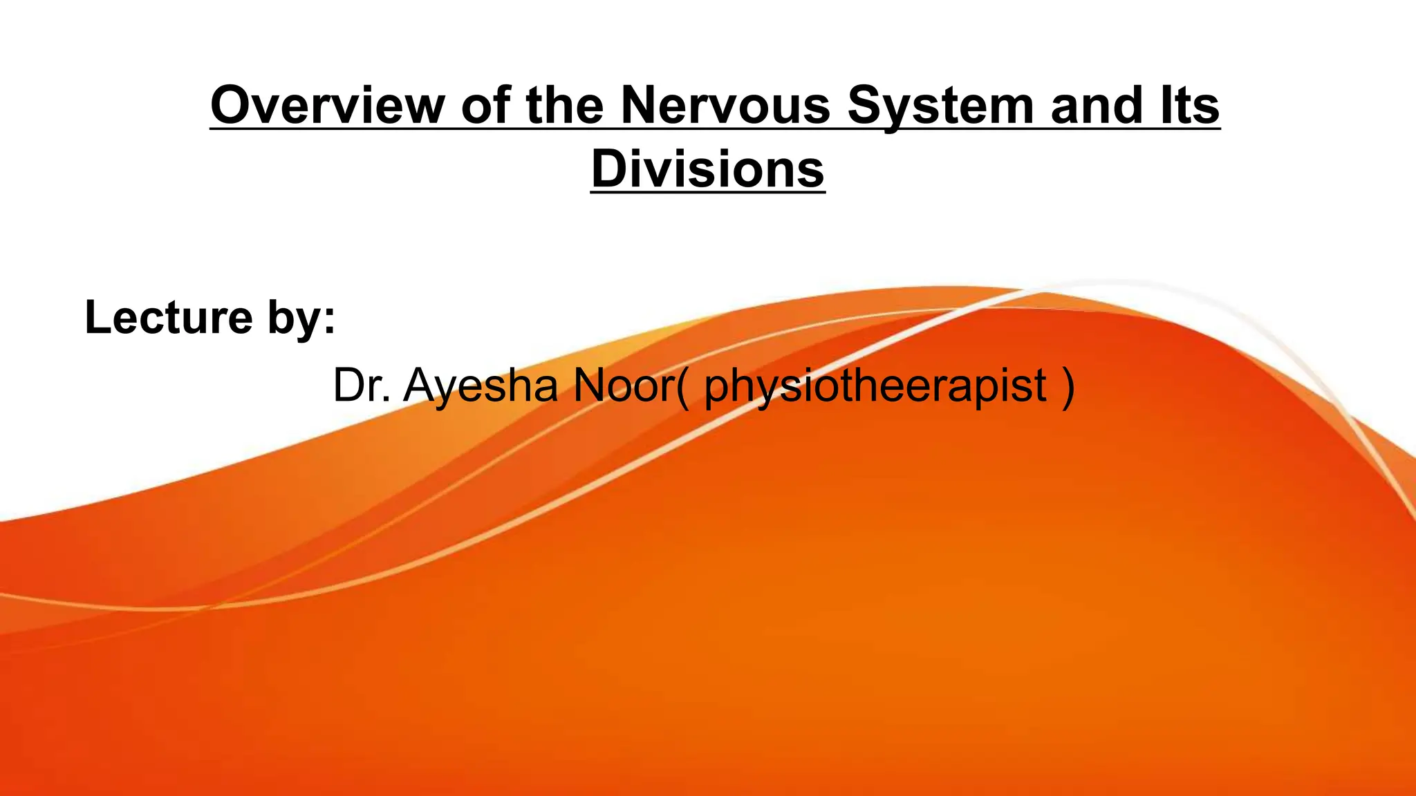 Overview of the Nervous System and Its Divisions | PPTX