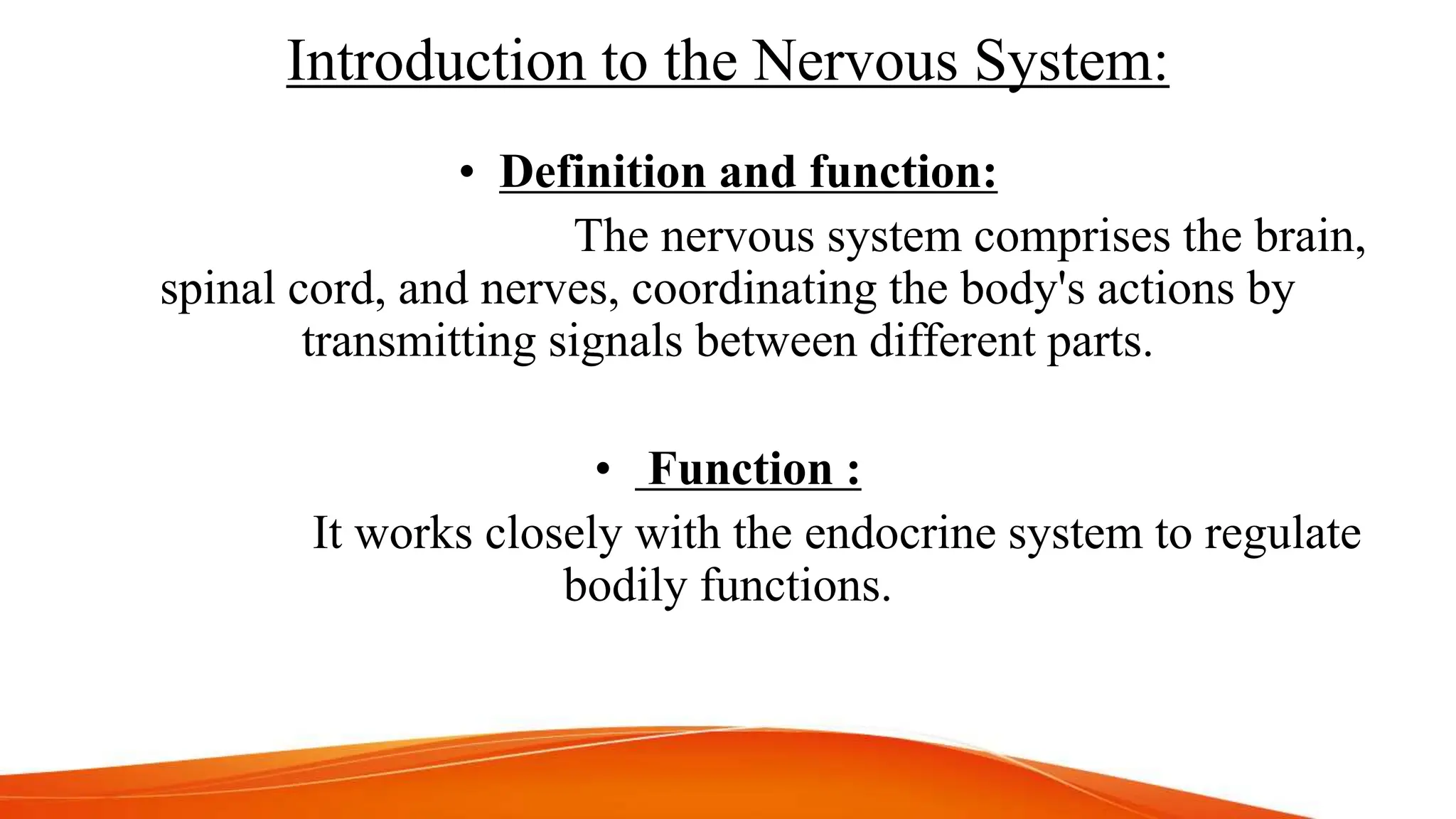 Overview of the Nervous System and Its Divisions | PPTX