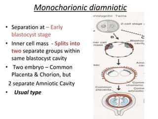 8.Formation & features of umbilical cord, amniotic.ppt