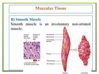 histology for laboratory students 8.pptx