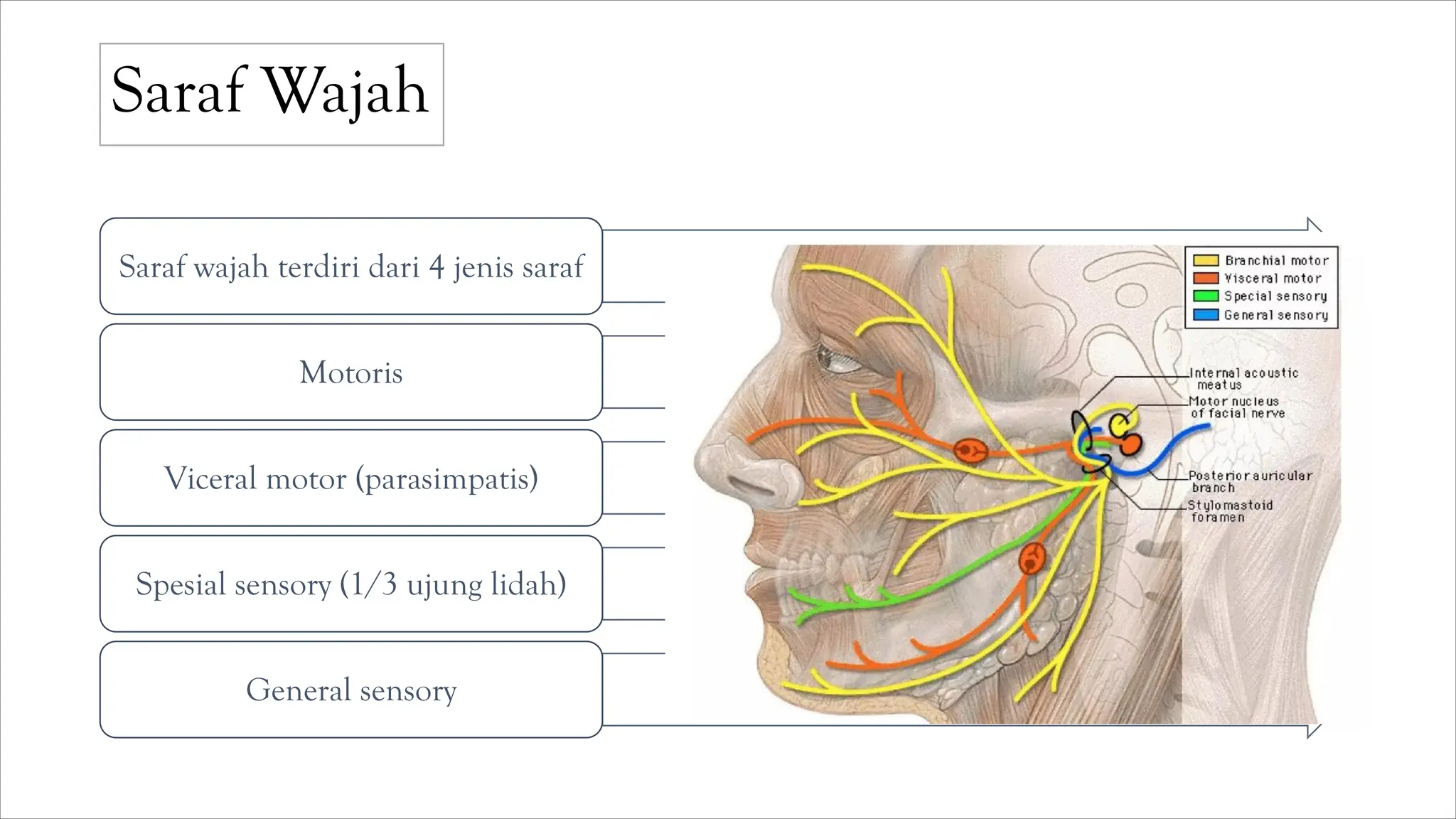 Materi Elektroterapi Fisioterapi Interrupted Galvanic (Exponential) Current | PPT