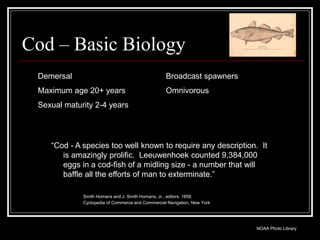 8.2 Decline of Atlantic Cod.A Case Study | PPT | Fish and Aquariums | Pets