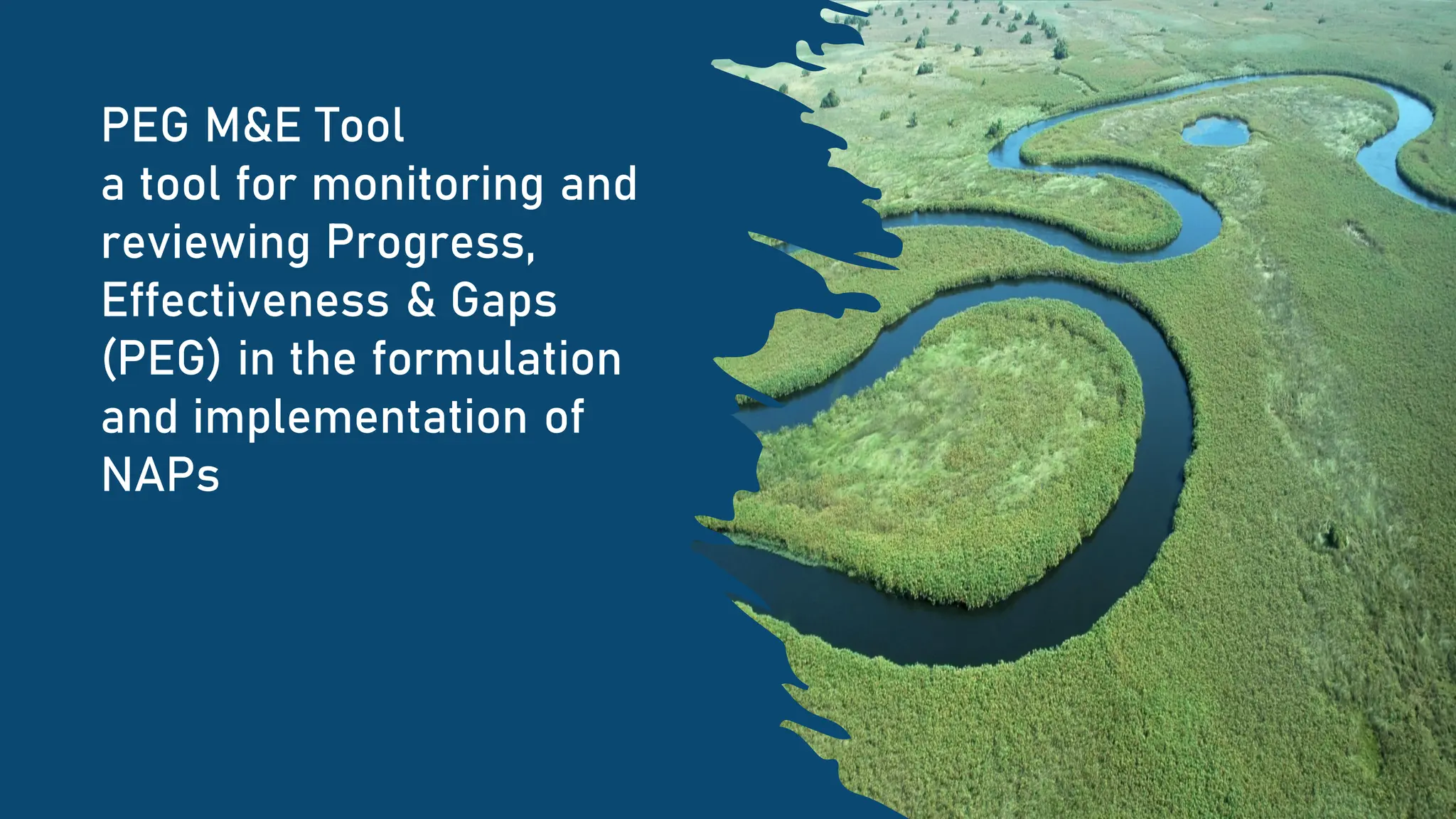 Progress, Effectiveness, and Gaps Monitoring and Evaluation Tool | PDF