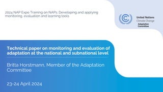Training on NAPs: Developing and applying monitoring, evaluation and ...