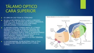 8.DIENCEFALO ANATOMIA UNO PRIMER SEMENSTRE.pptx