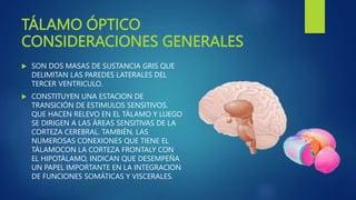 8.DIENCEFALO ANATOMIA UNO PRIMER SEMENSTRE.pptx