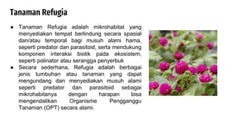 8. Tanaman Refugia dapat menjadi rumah bagi musuh alami.pptx