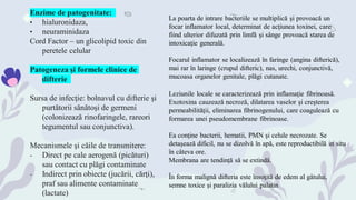 8.G.Corynebacterium,Bordetella,Mycobacterium.pdf