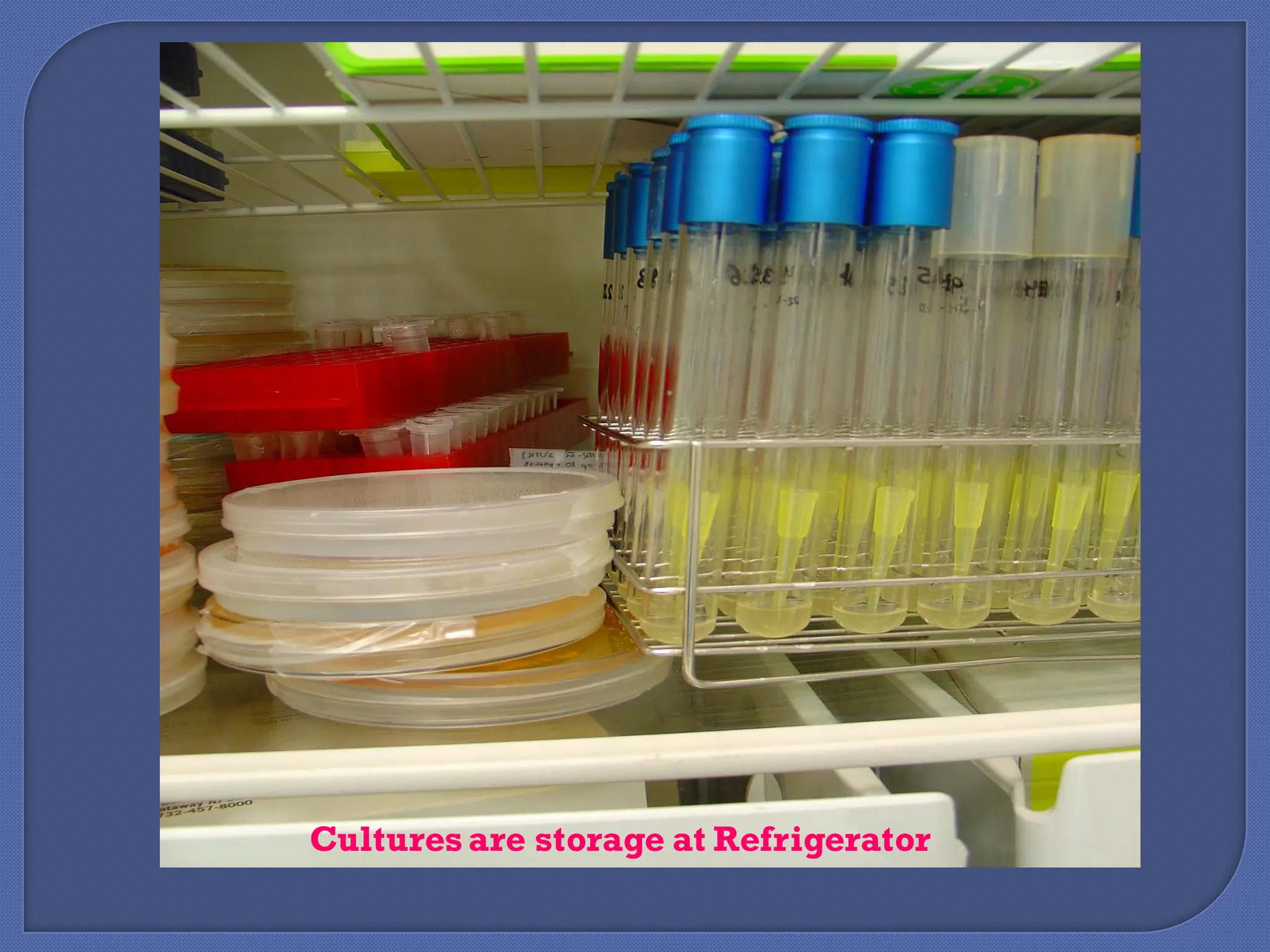 8.Isolation of pure cultures and preservation of cultures.pdf