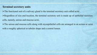 PART 2- SALIVARY GLANDS second psrt.pptx