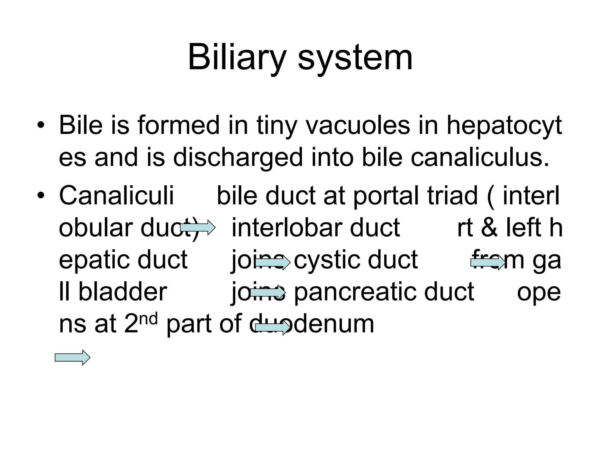 8. LIVER & G.Bladder55 (1).pptxrgtrtteyr | PPTX