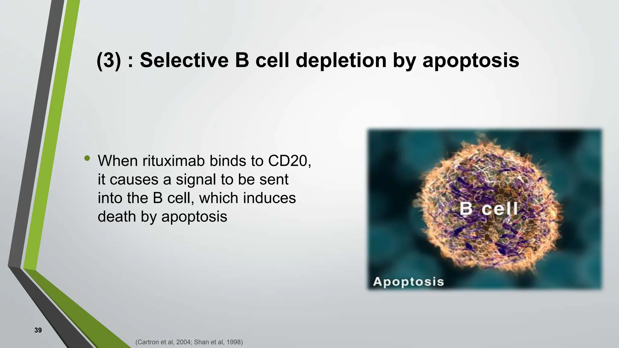 8. Demyelinating Disorders (NMO Vs MS and Rituximab).pptx | Brain and Nervous System Disorders ...