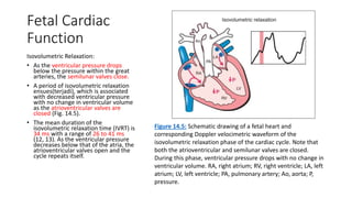 Fetal cardiac Function early detections | PPT