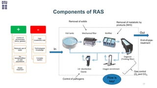 Fish in the Loop: Exploring RAS - Julie Hansen Bergstedt | PPT