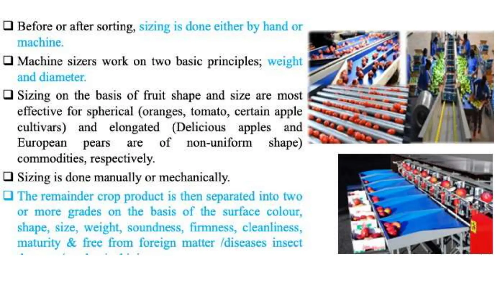 8. Packaging and packing house operations.pptx