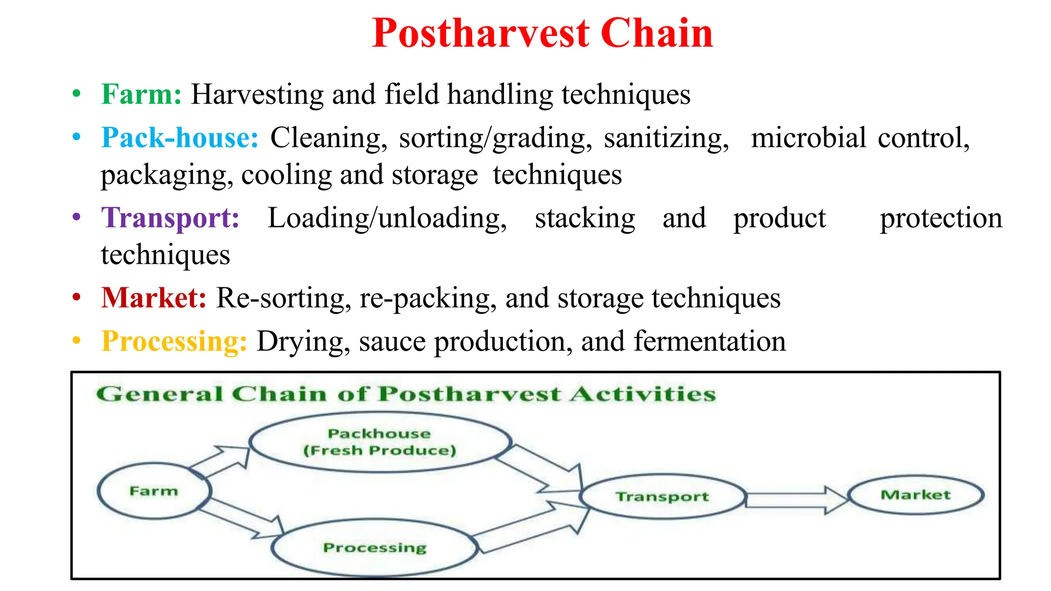 8. Packaging and packing house operations.pptx