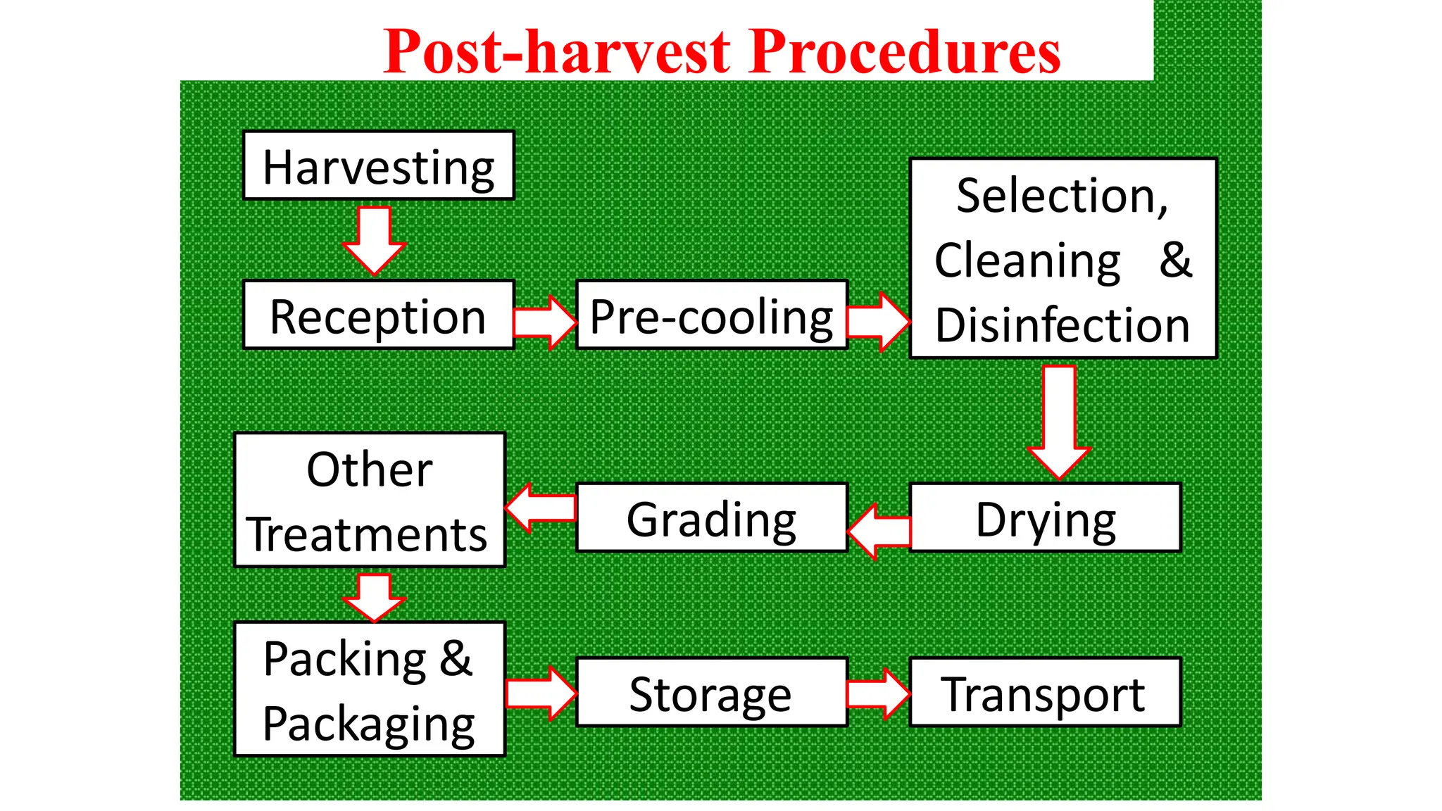 8. Packaging and packing house operations.pptx