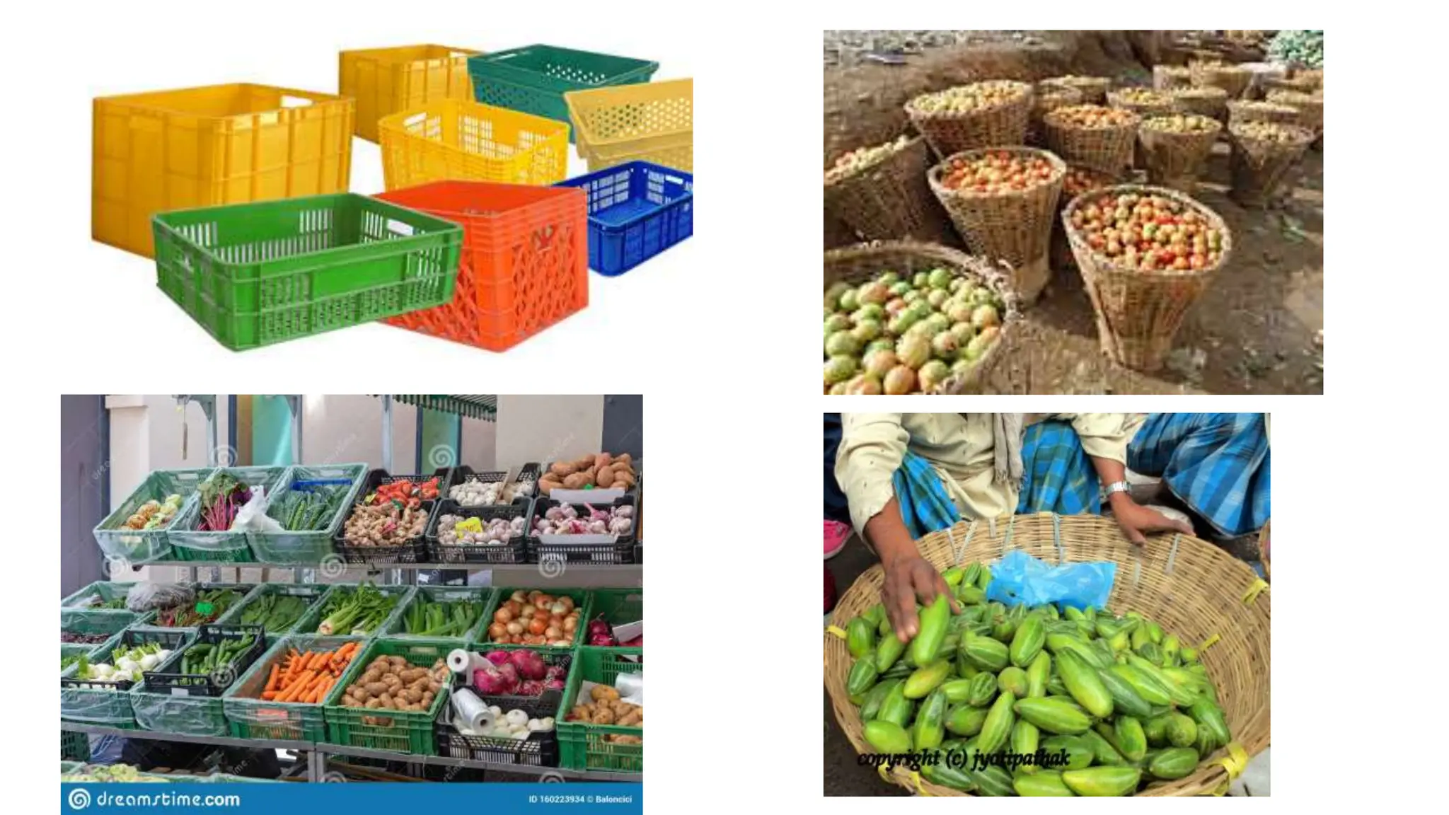 8. Packaging and packing house operations.pptx