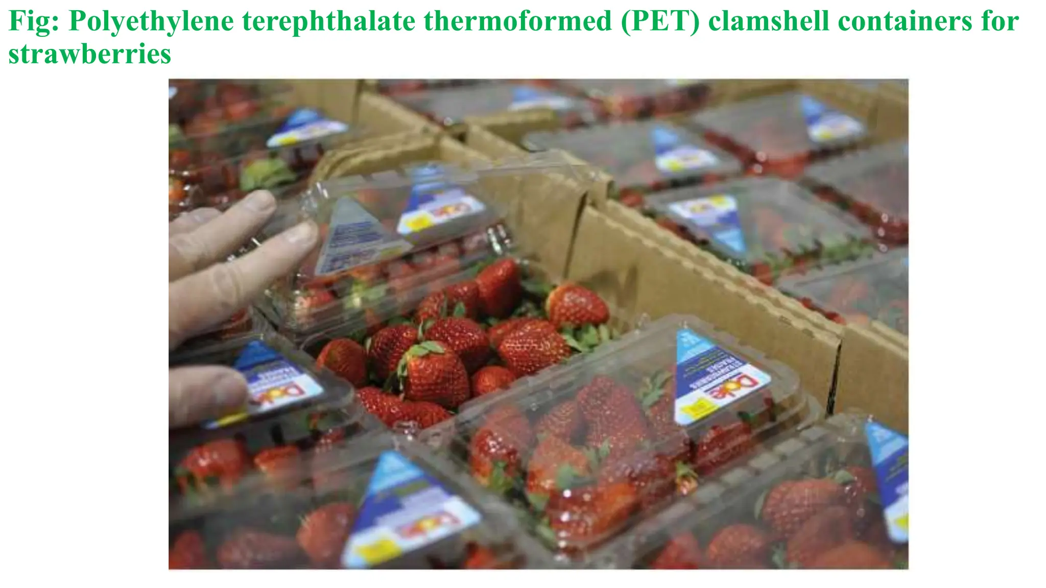8. Packaging and packing house operations.pptx