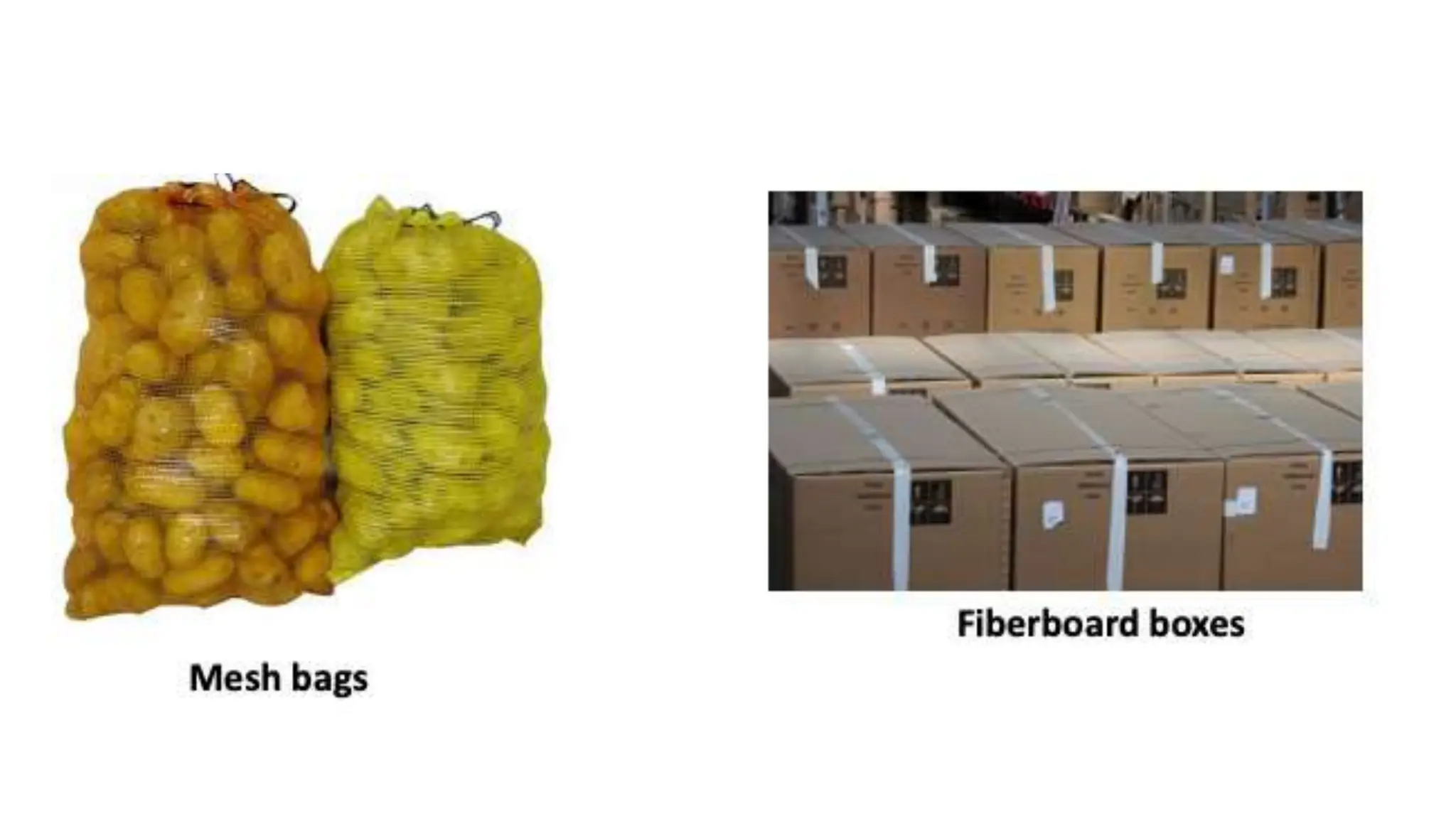 8. Packaging and packing house operations.pptx