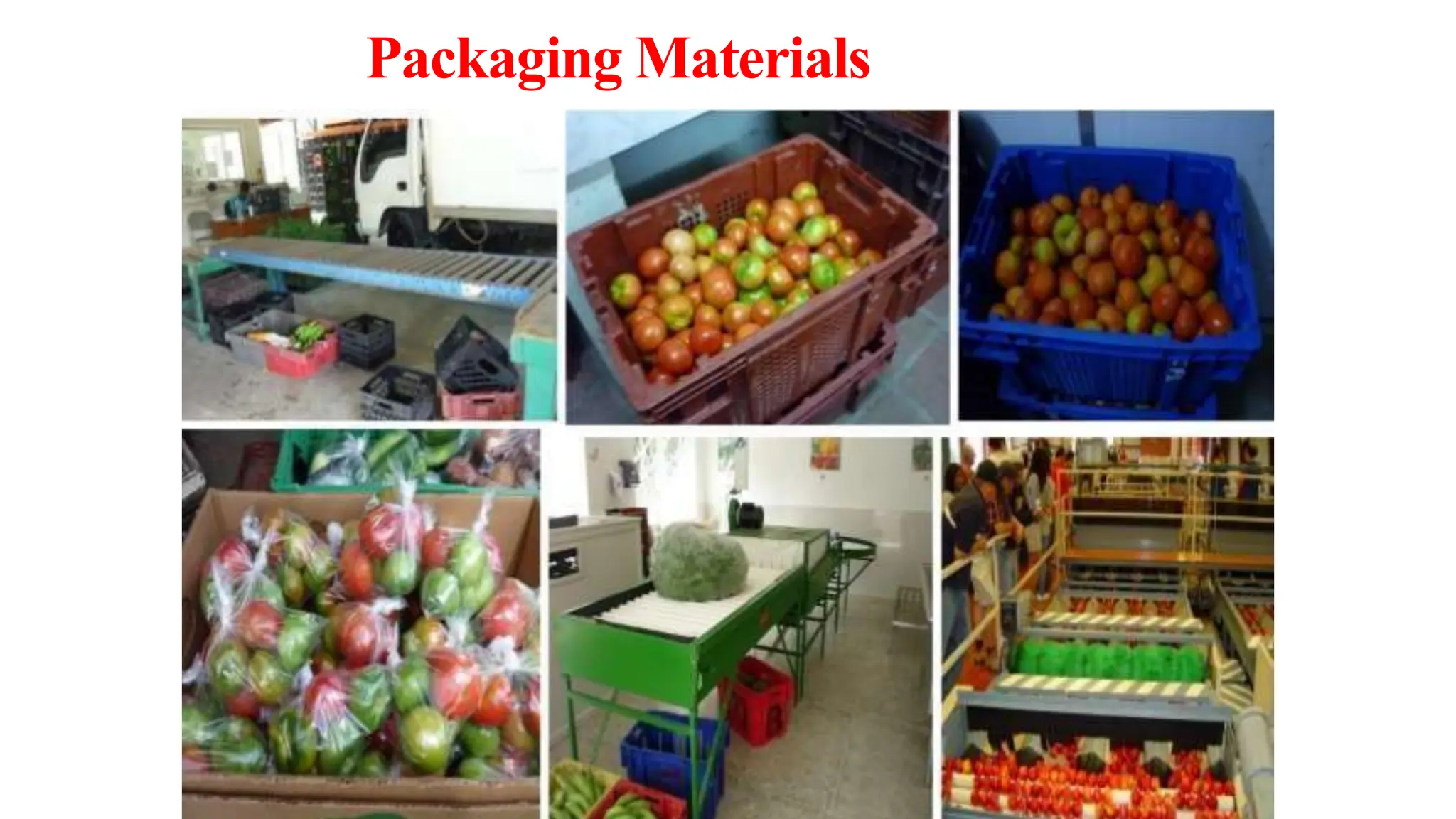 8. Packaging and packing house operations.pptx
