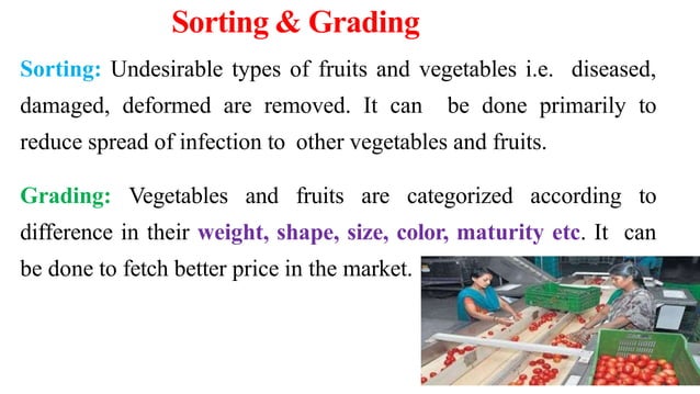 8. Packaging and packing house operations.pptx | Gardening | Home & Garden