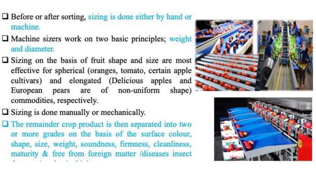8. Packaging and packing house operations.pptx | Gardening | Home & Garden