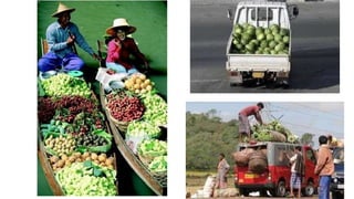 8.1. Transportation and marketing of fruits and vegetables.pptx