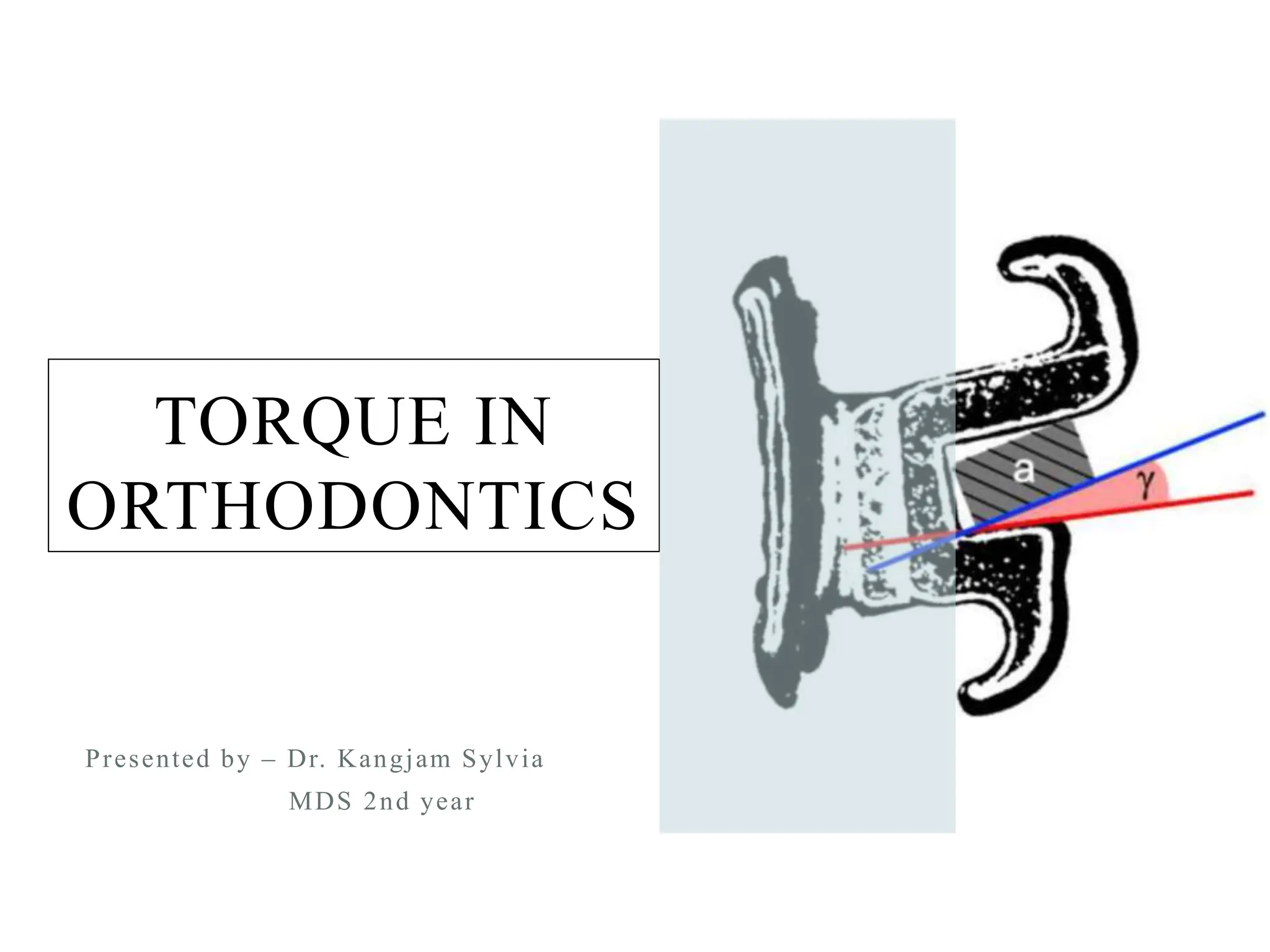 TORQUE IN ORTHODONTICS (short PPT) basic | PPTX