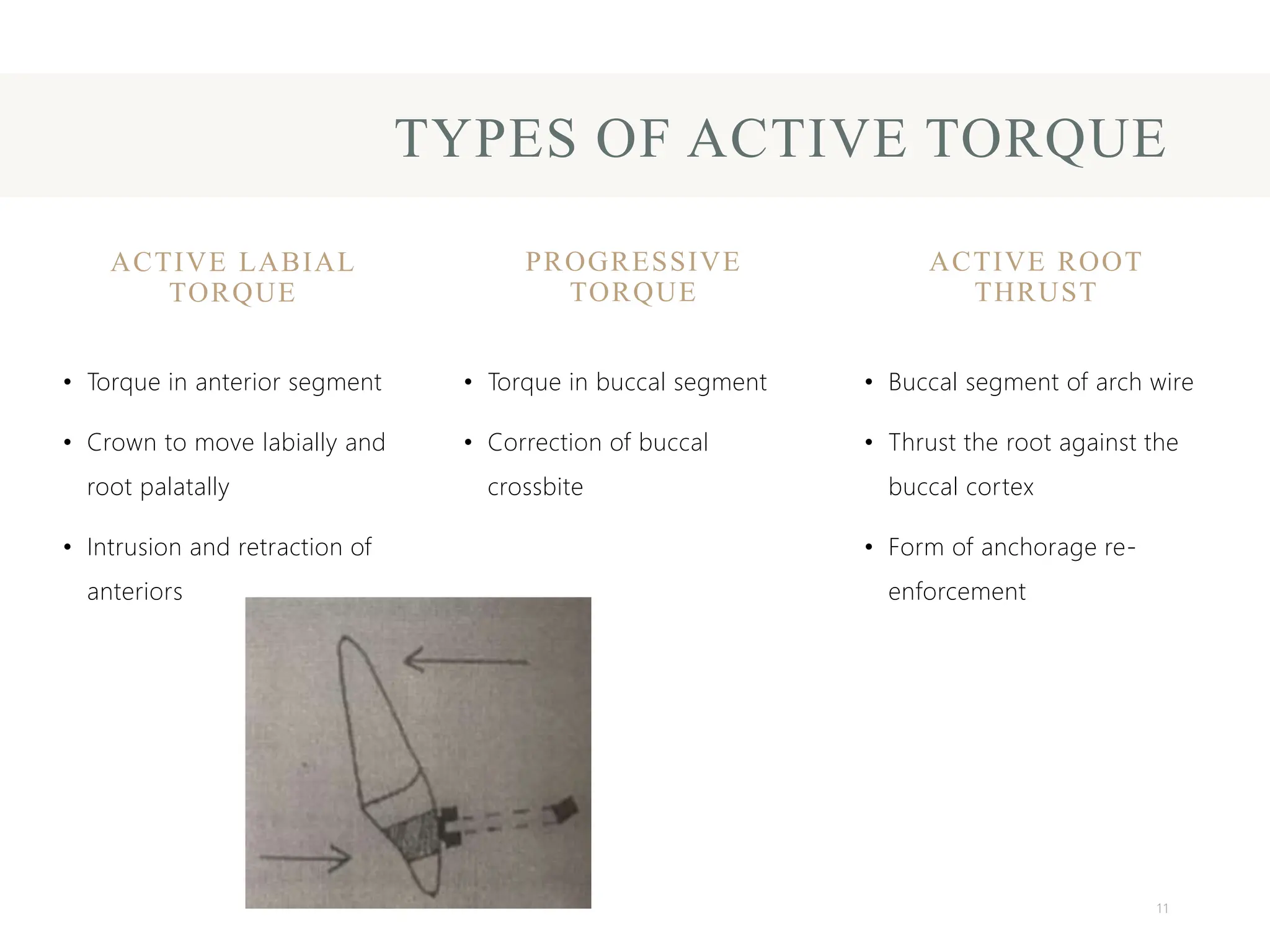 TORQUE IN ORTHODONTICS (short PPT) basic | PPTX