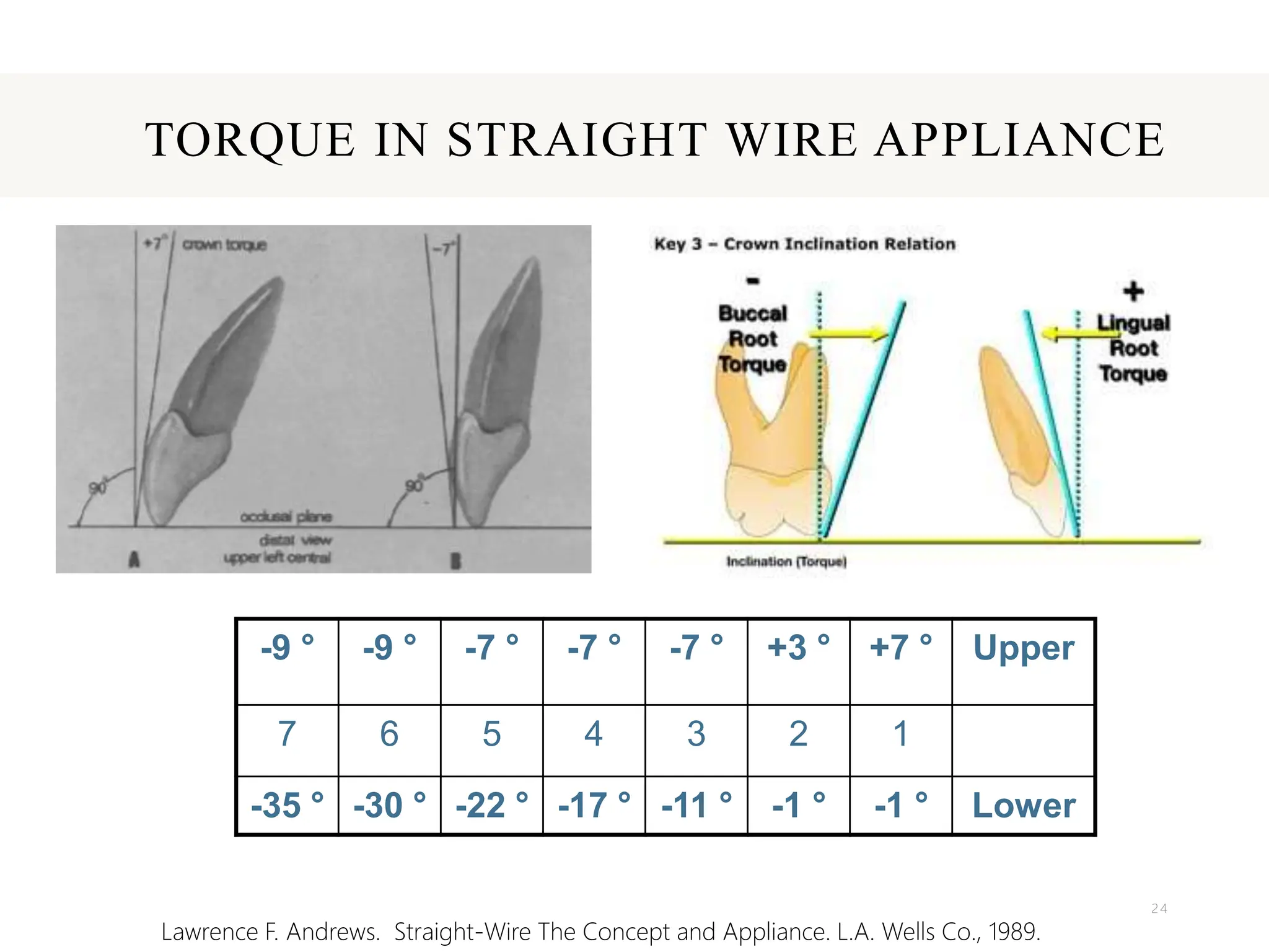 TORQUE IN ORTHODONTICS (short PPT) basic | PPTX
