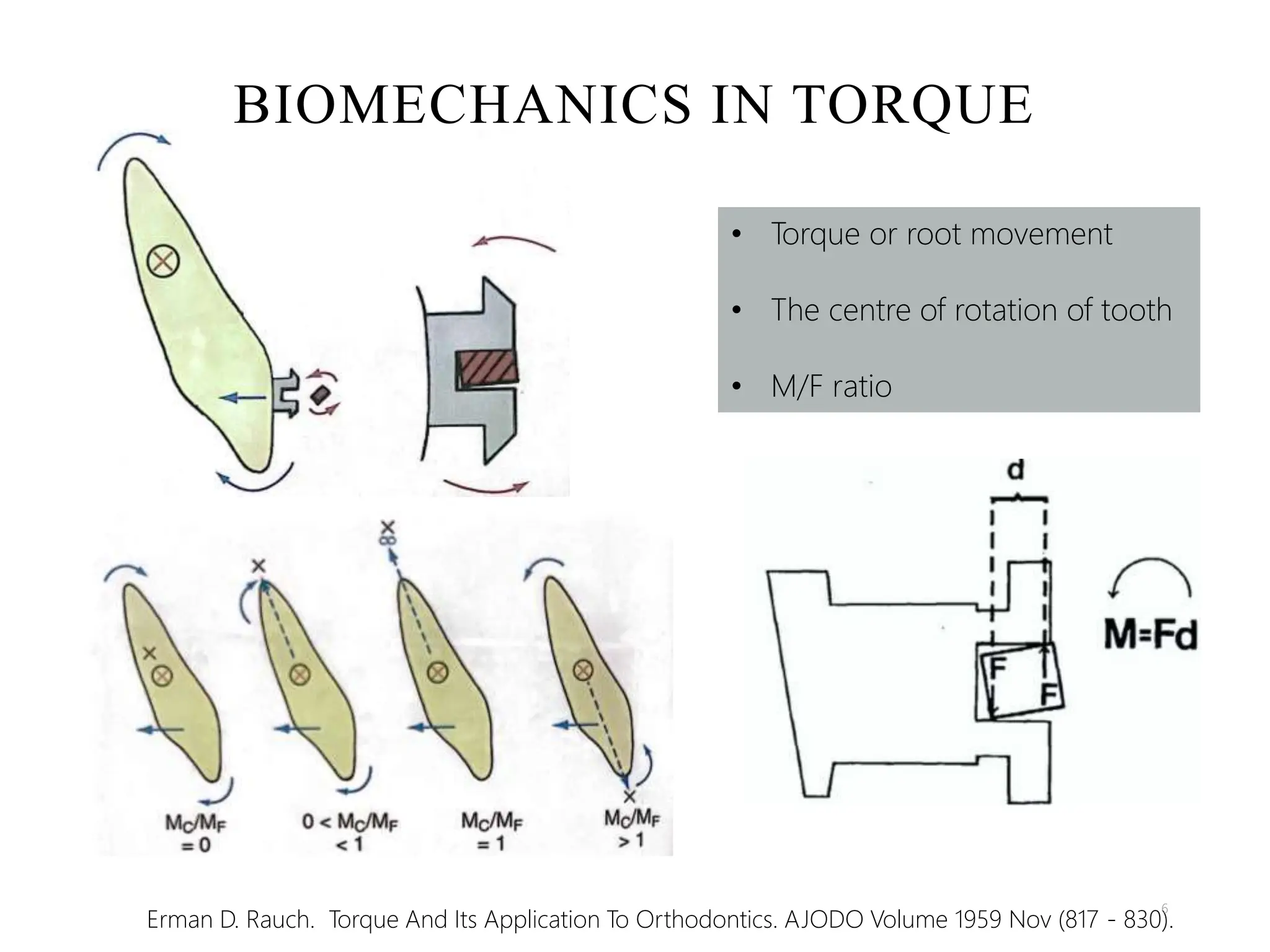 TORQUE IN ORTHODONTICS (short PPT) basic | PPTX