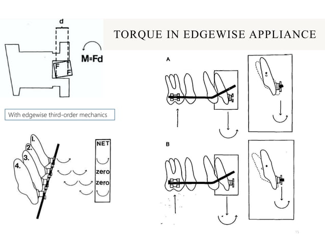 TORQUE IN ORTHODONTICS (short PPT) basic | PPTX