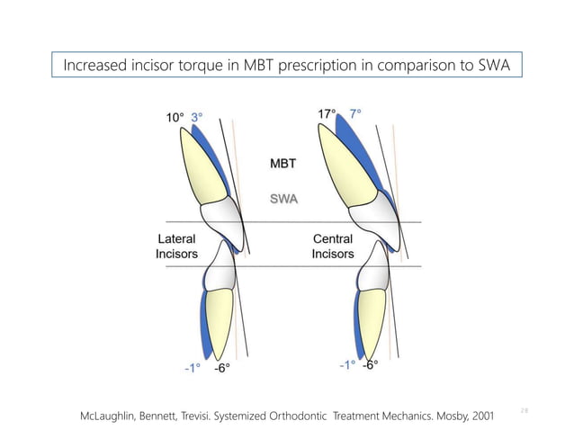 TORQUE IN ORTHODONTICS (short PPT) basic | PPTX