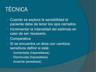 Sensibilidad del cuerpo humano y fisioterapia | PPTX