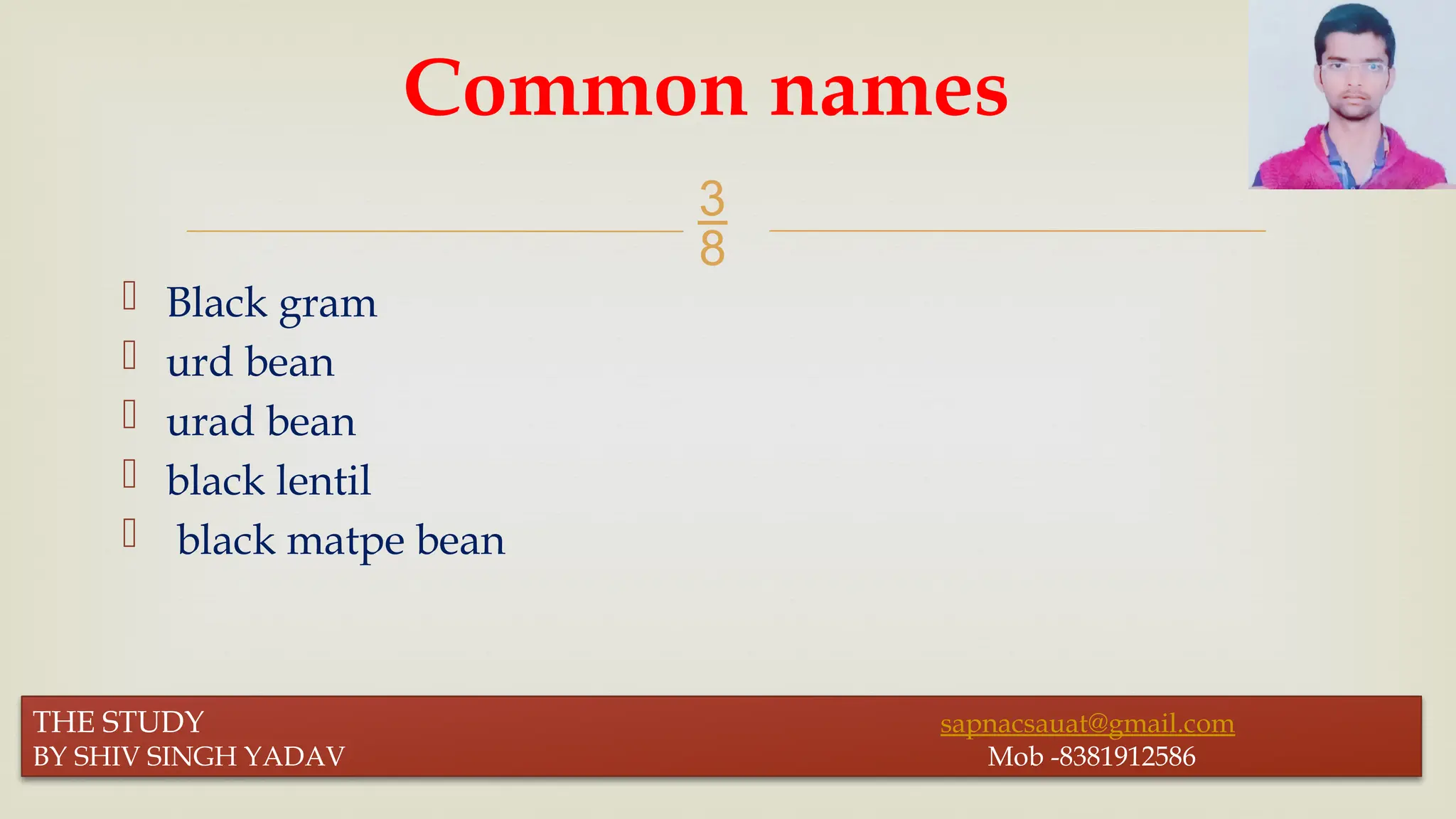 Black gram.ppt Black gram, also known as urad or urd bean, is an ...