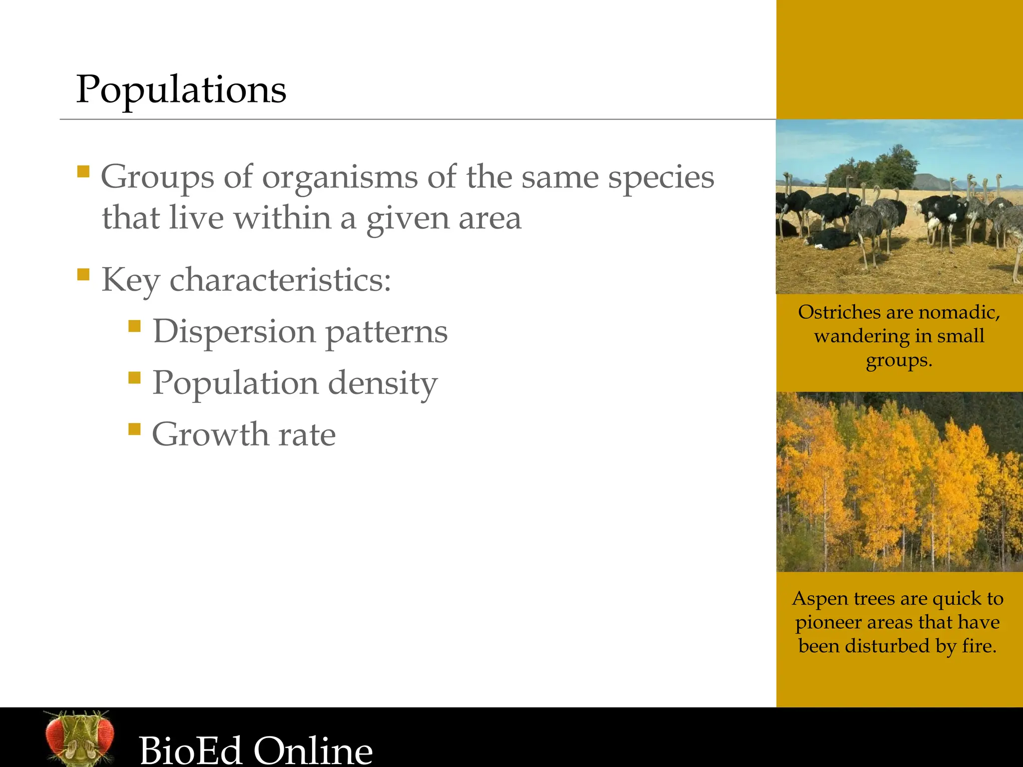 Population characteristics (Ecology) lecture | PPT | Biological ...