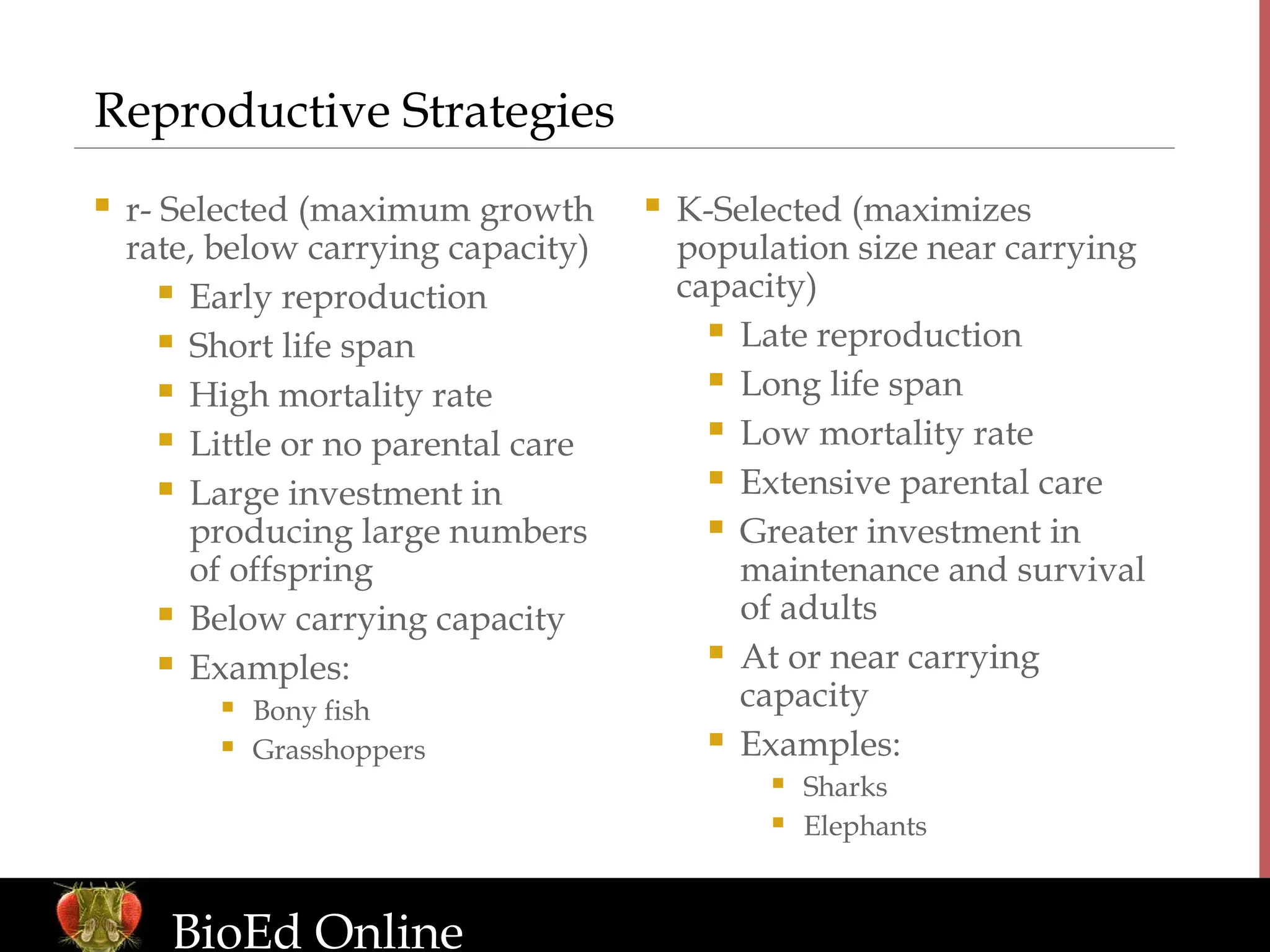 Population characteristics (Ecology) lecture | PPT