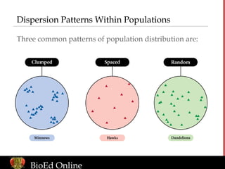 Population characteristics (Ecology) lecture | PPT