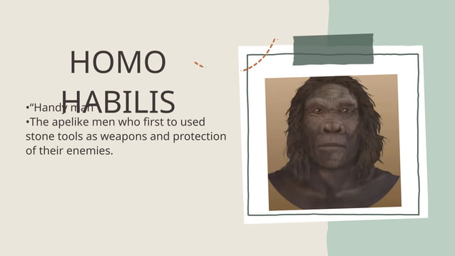 8. The Human Biological Evolution.pptx ( for educational purposes ) | PPTX