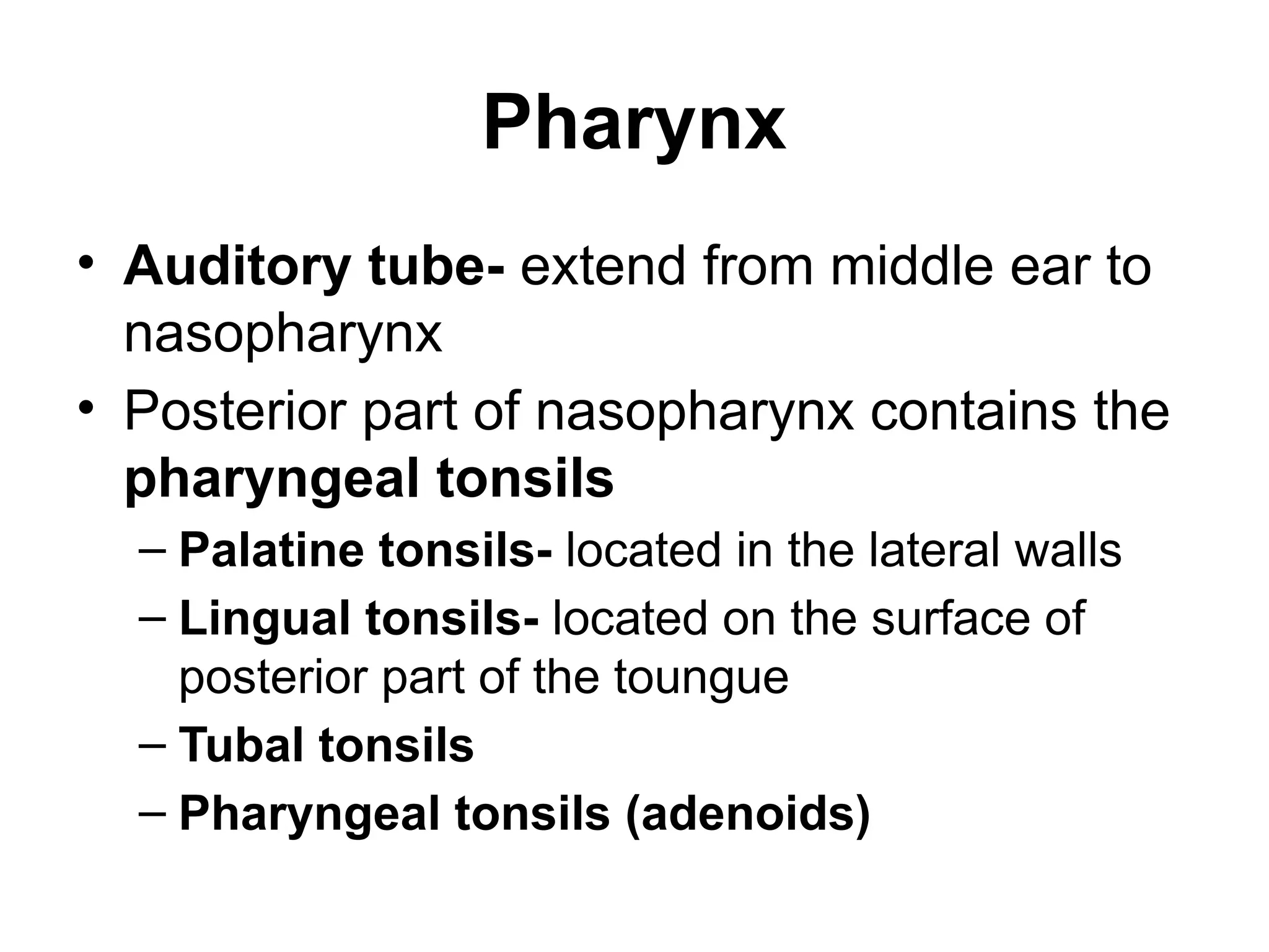 8. Respiratory System anatomy and physiology.pptx