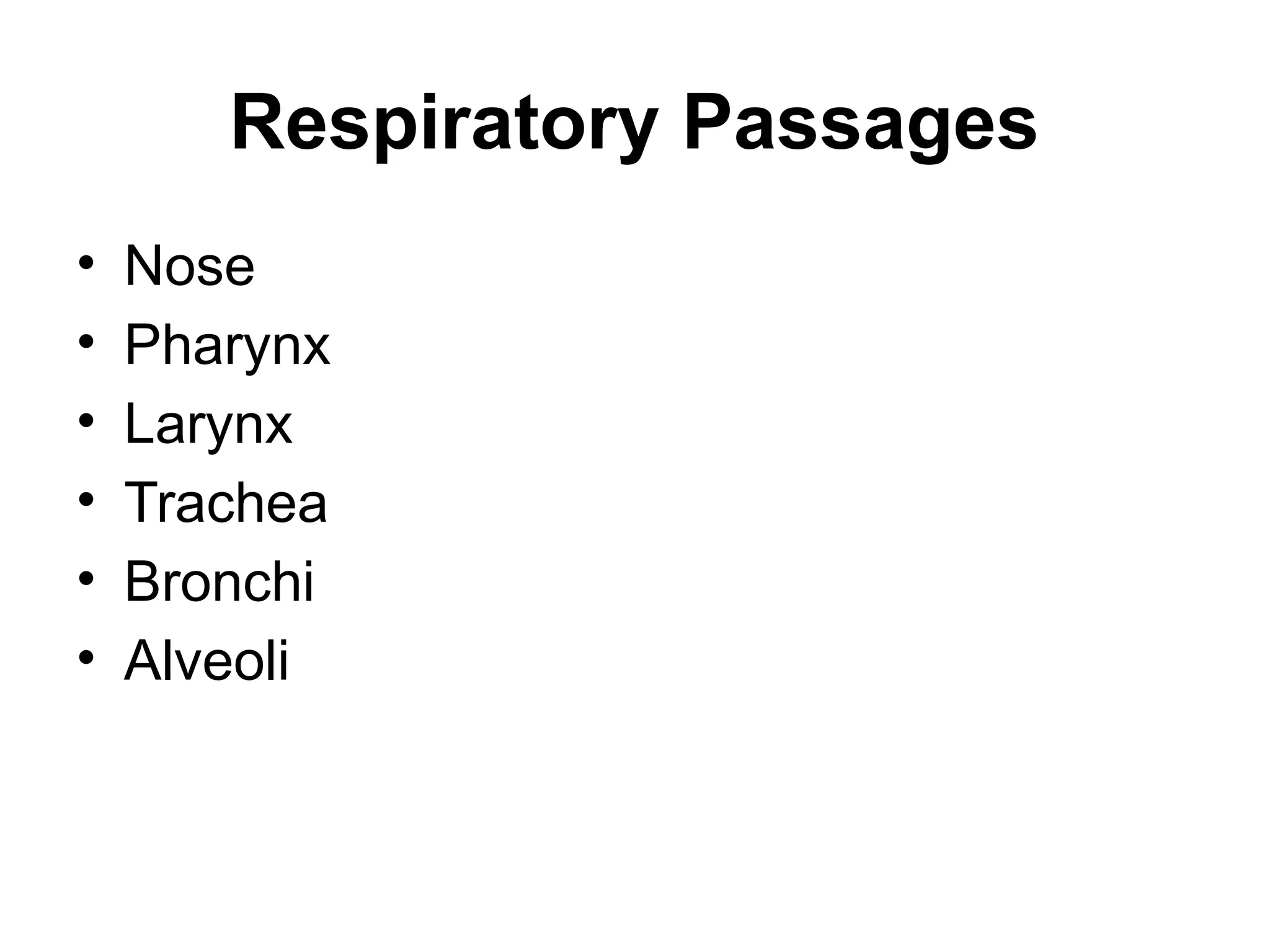 8. Respiratory System anatomy and physiology.pptx