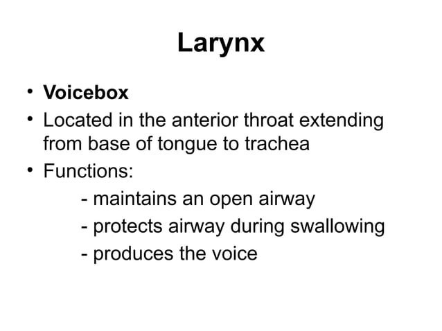 8. Respiratory System anatomy and physiology.pptx