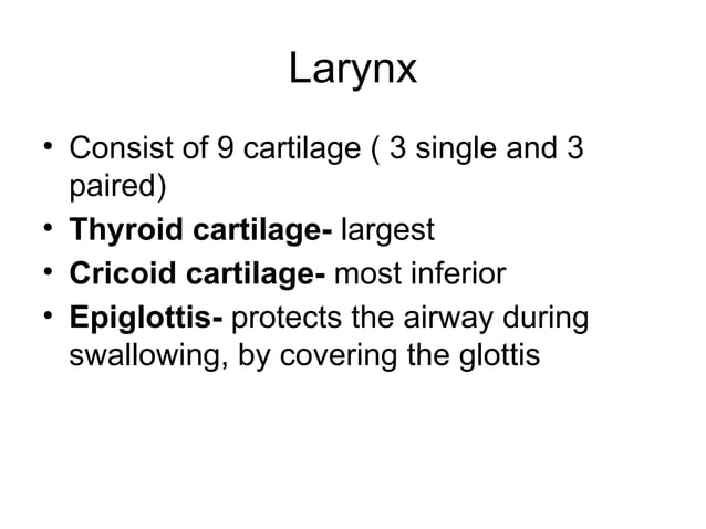 8. Respiratory System anatomy and physiology.pptx